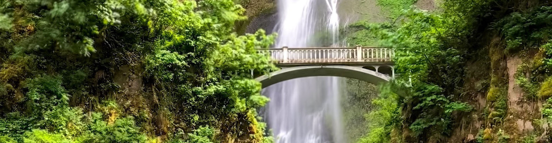 About Us - True Path Capital Strategies